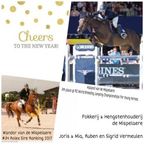 Happy new year - De Mispelaere